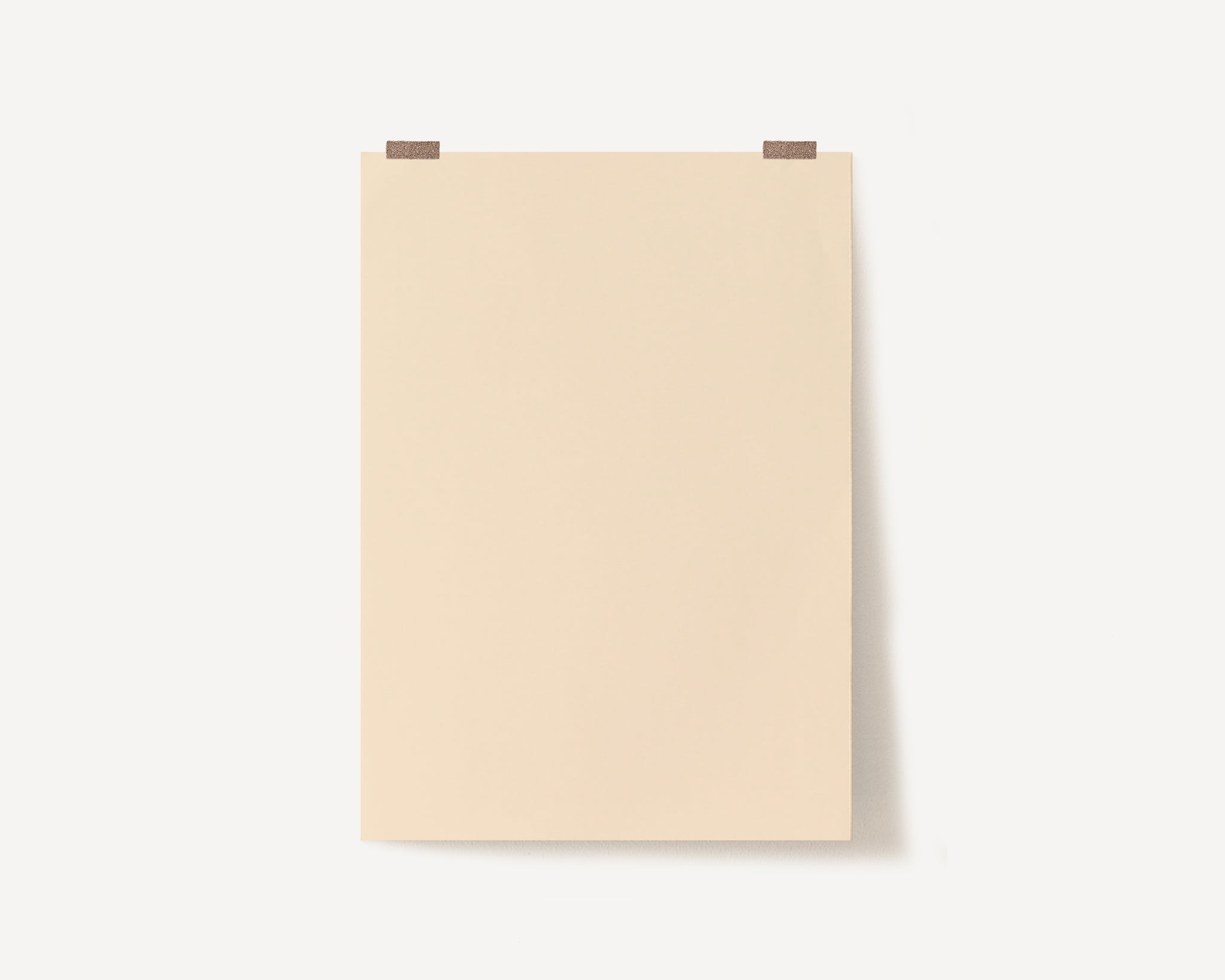 Cream Photography Backdrop – Maxi Signs